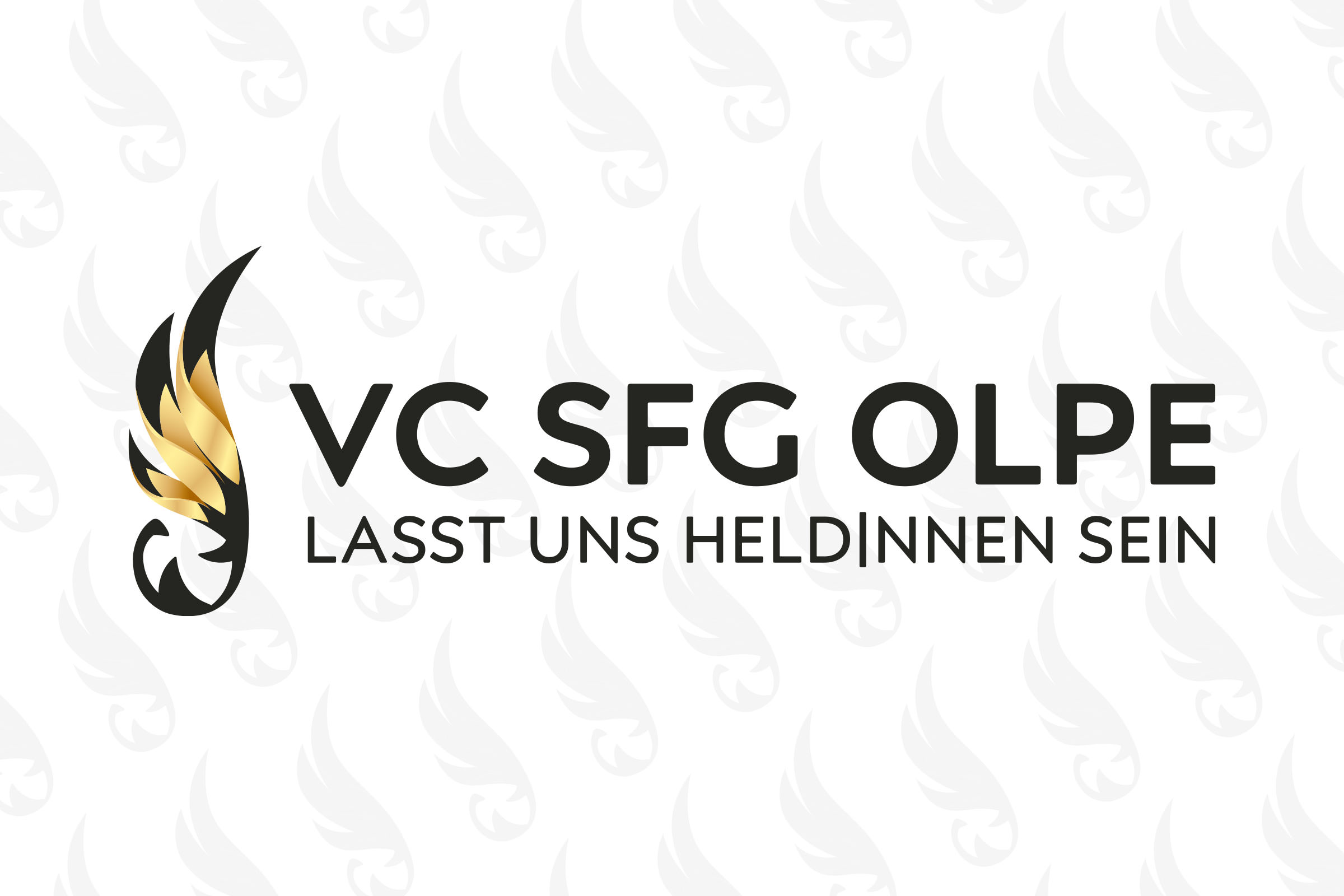 Sfg Olpe Logo VC SFG Olpe Als Partnerschule Des Volleyballs Wurde